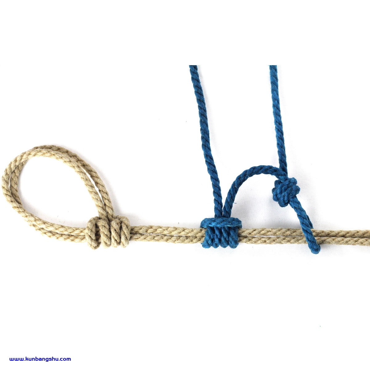 雷德梅恩抓结 Redmayne Catch【 21P+1V】_绳艺教程